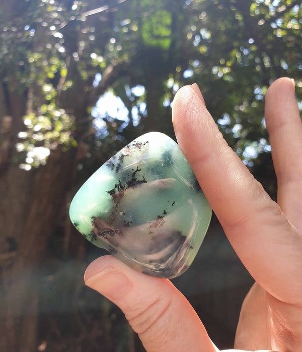 Chrysoprase Tumbled Stone – Oliver's Stone
